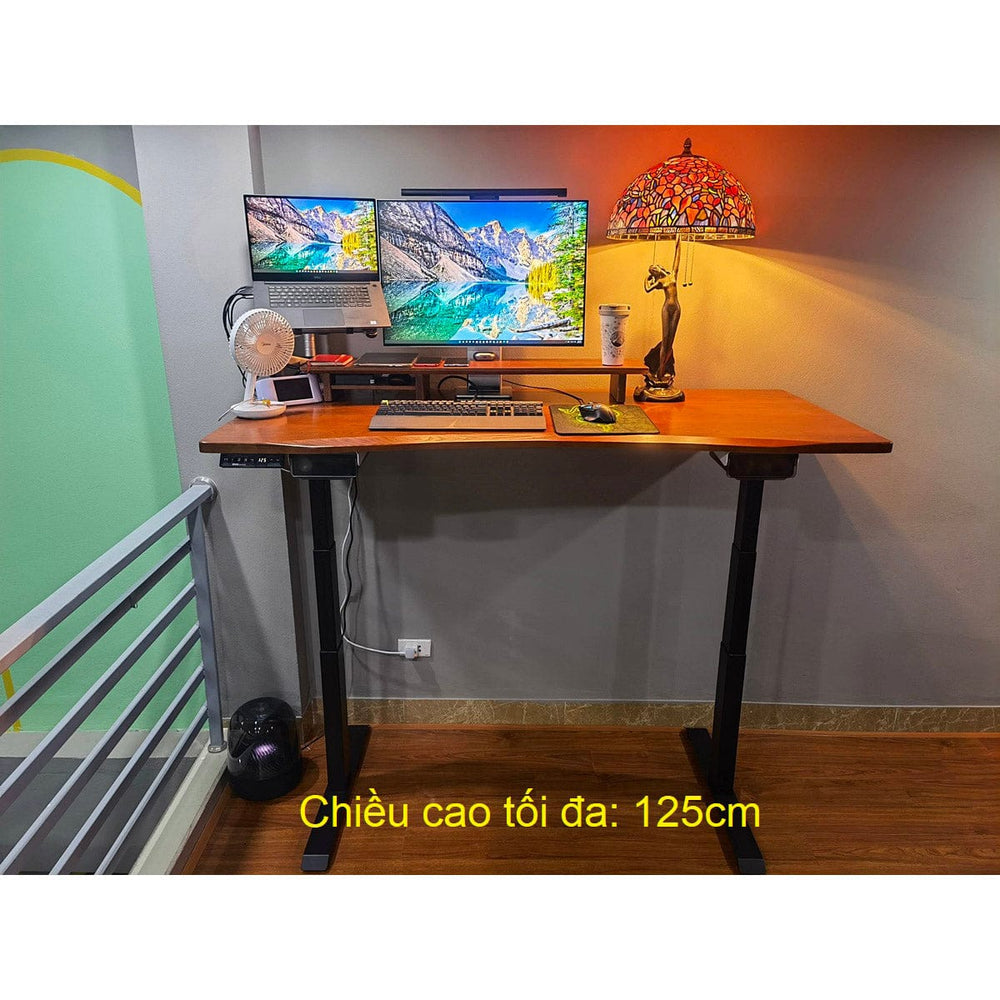 Chân bàn nâng hạ Ergo Edge 2 motor | Phong Cách Xanh